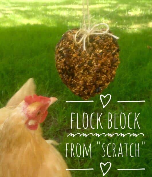 Flock Block From "Scratch" - A Chick And Her Garden