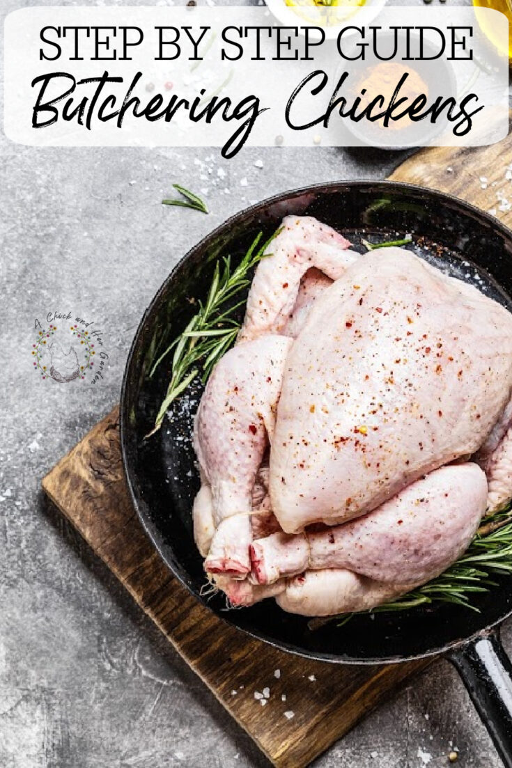 Butchering Chickens On The Homestead - A Chick And Her Garden