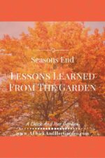Lessons Learned From The Garden - A Chick And Her Garden