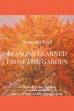 Lessons Learned From The Garden - A Chick And Her Garden