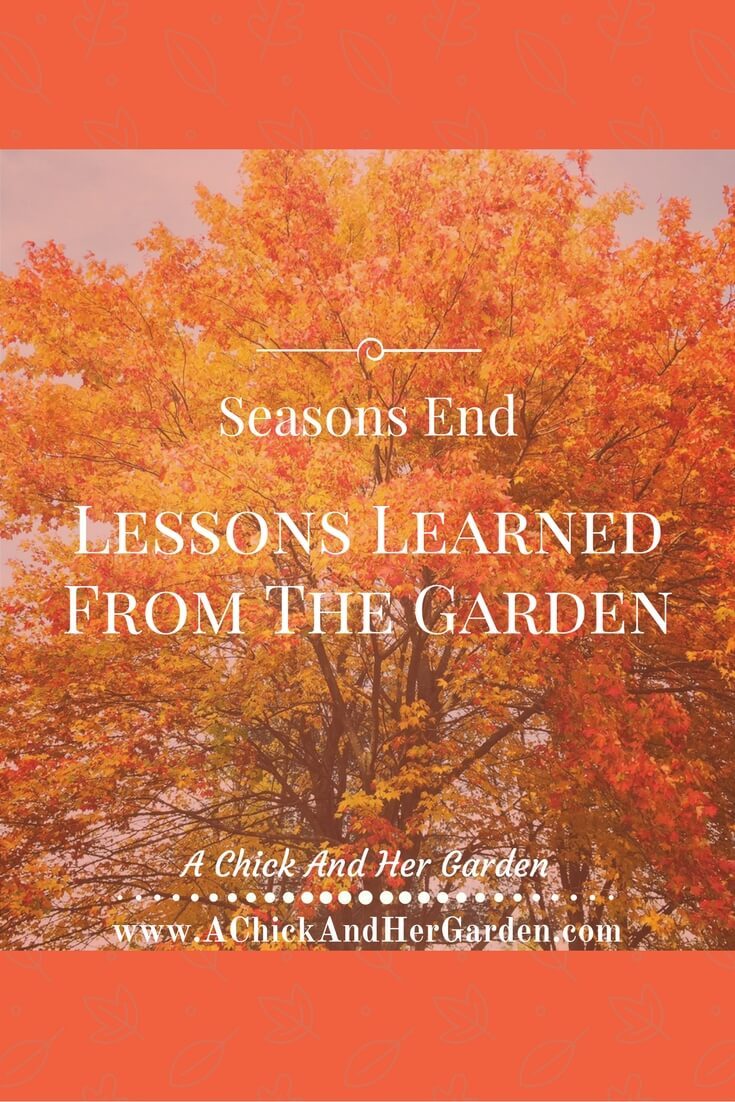 Lessons Learned From The Garden - A Chick And Her Garden
