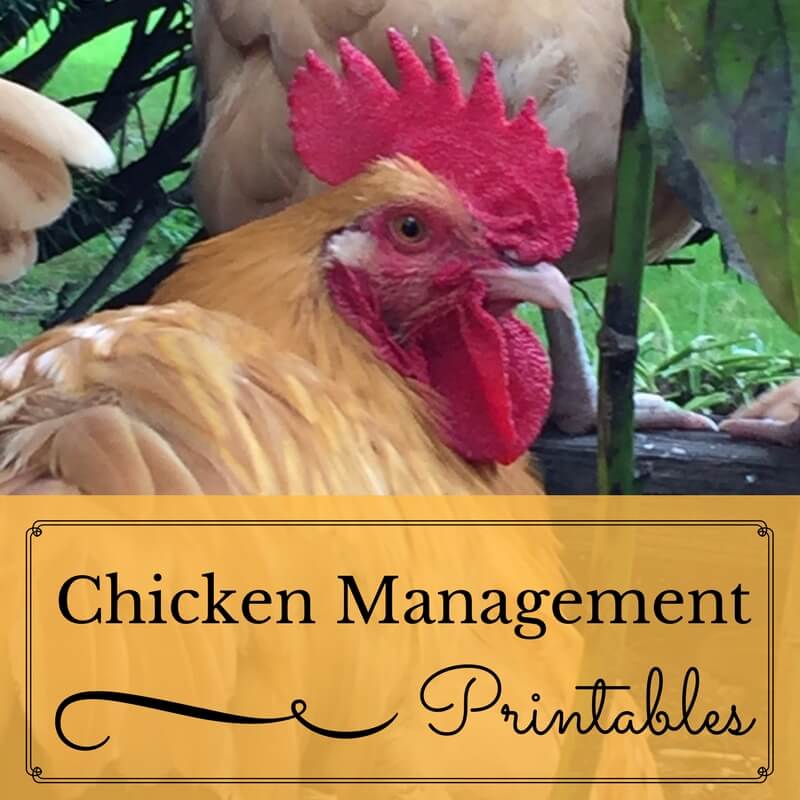 Homestead Management Printables - A Chick And Her Garden