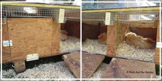 How To Build A Brooder House, And Why You Need One - A Chick And Her Garden