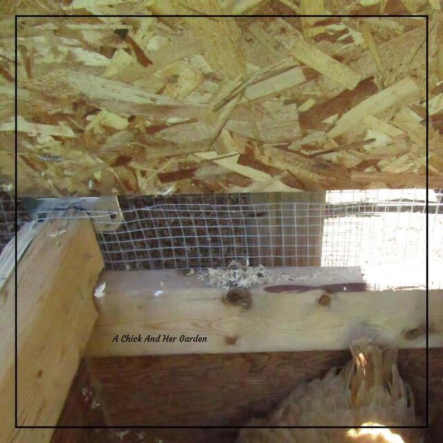 How To Build A Brooder House, And Why You Need One - A Chick And Her Garden