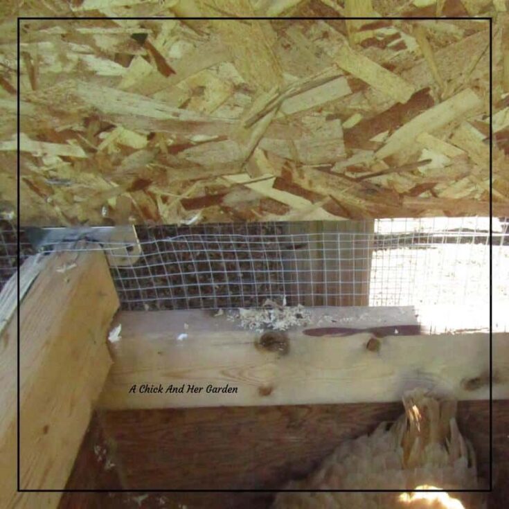 How To Build A Brooder House, And Why You Need One - A Chick And Her Garden