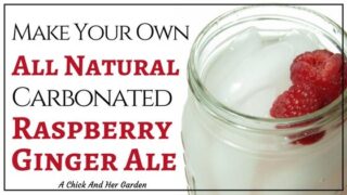 How To Make Your Own Raspberry Ginger Ale - A Chick And Her Garden