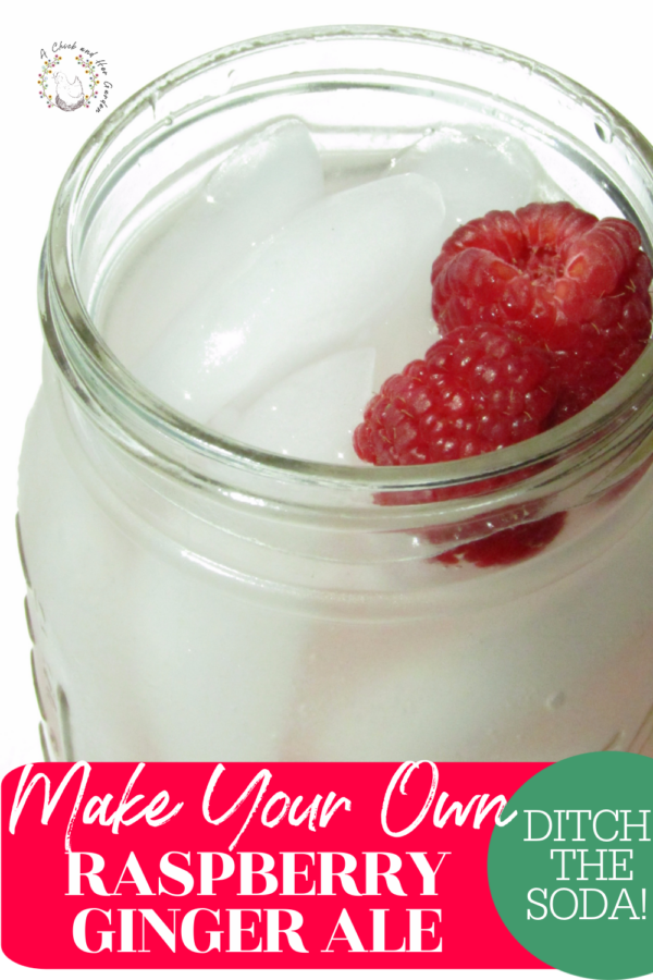 How To Make Your Own Raspberry Ginger Ale - A Chick And Her Garden
