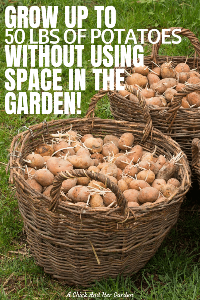 How Do You Save Space Growing Potatoes A Chick And Her Garden