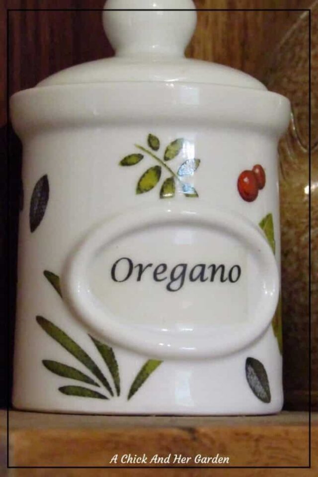 How To Grow, Use, and Dry Oregano - A Chick And Her Garden