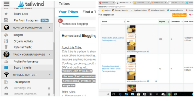 Why Every Blogger NEEDS Tailwind - A Chick And Her Garden