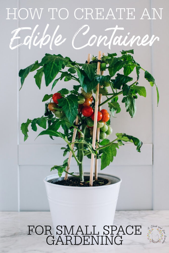 How to Create an Edible Combination Planter - A Chick And Her Garden