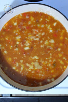 Chicken Chorizo Tortilla Stoup - A Chick And Her Garden