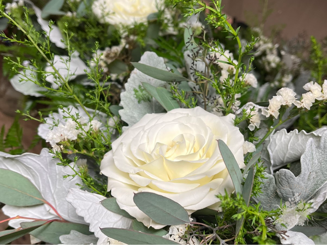 Gallery - A Chick And Her Garden