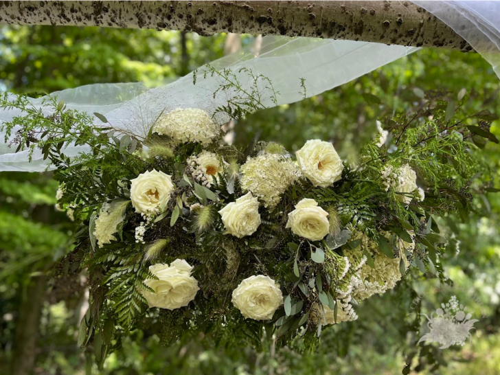 Gallery - A Chick And Her Garden