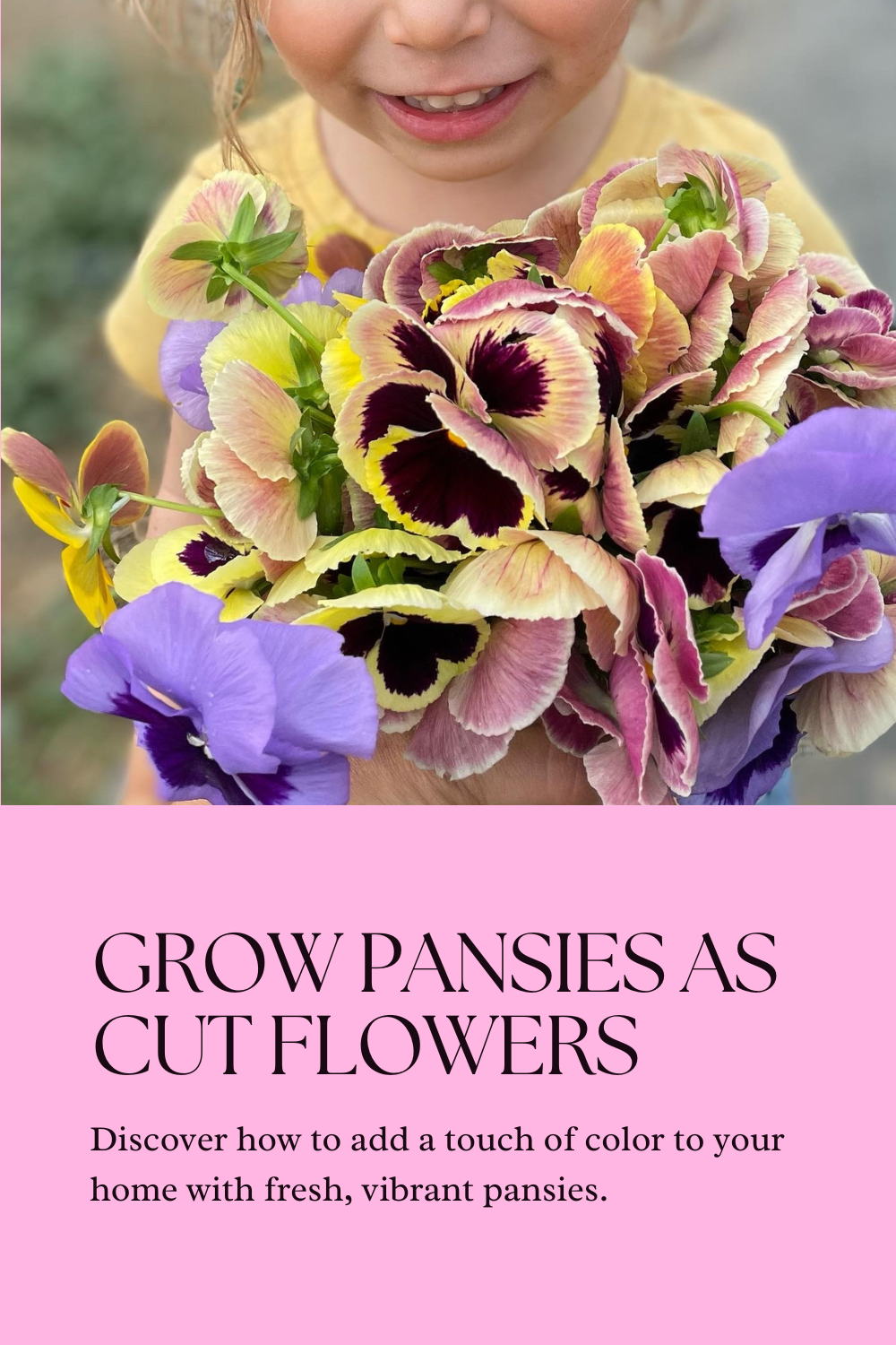 How to Grow Pansies as a Cut Flower - A Chick And Her Garden