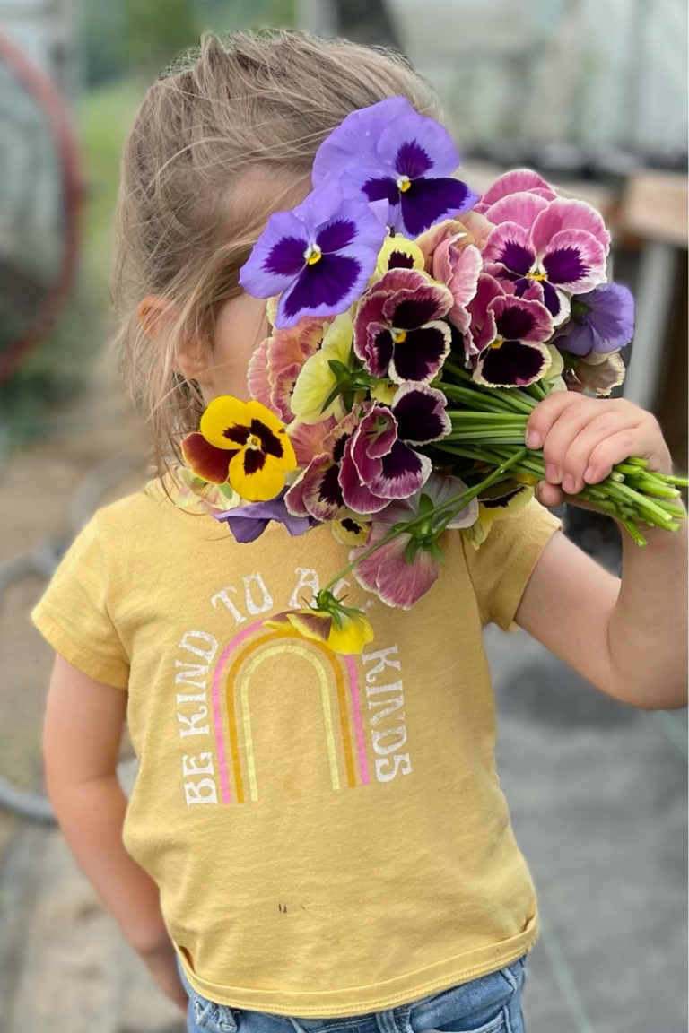 How to Grow Pansies as a Cut Flower - A Chick And Her Garden